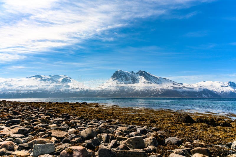 Kvaloya in Troms, North Norway Stock Photo - Image of landscape, summer ...