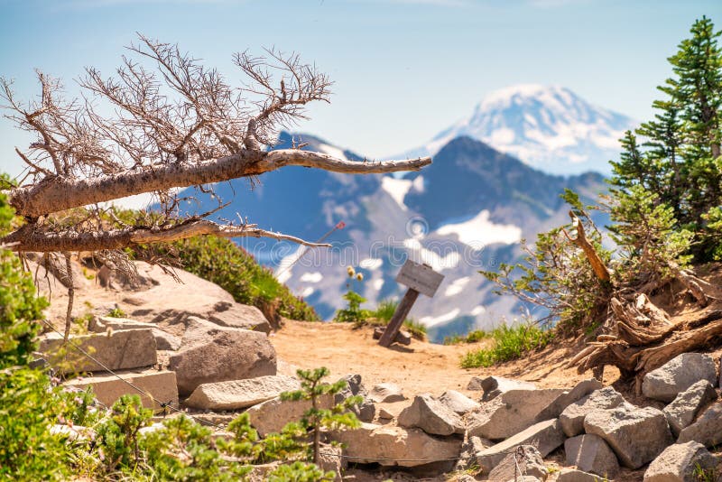 Beautiful Mountains of Mt Rainier National Park Stock Image - Image of ...