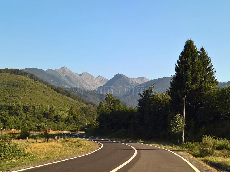 Beautiful mountains road stock photo. Image of forest - 101726540