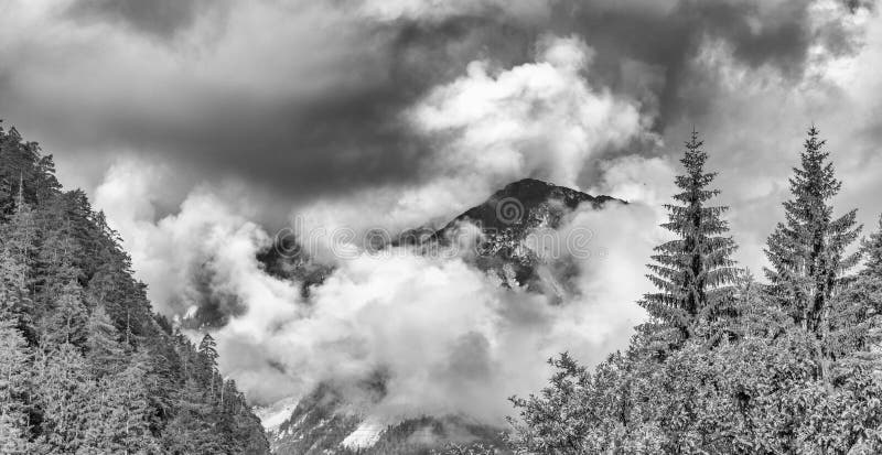 Beautiful Mountains and Trees of Italian Alps Stock Photo - Image of ...
