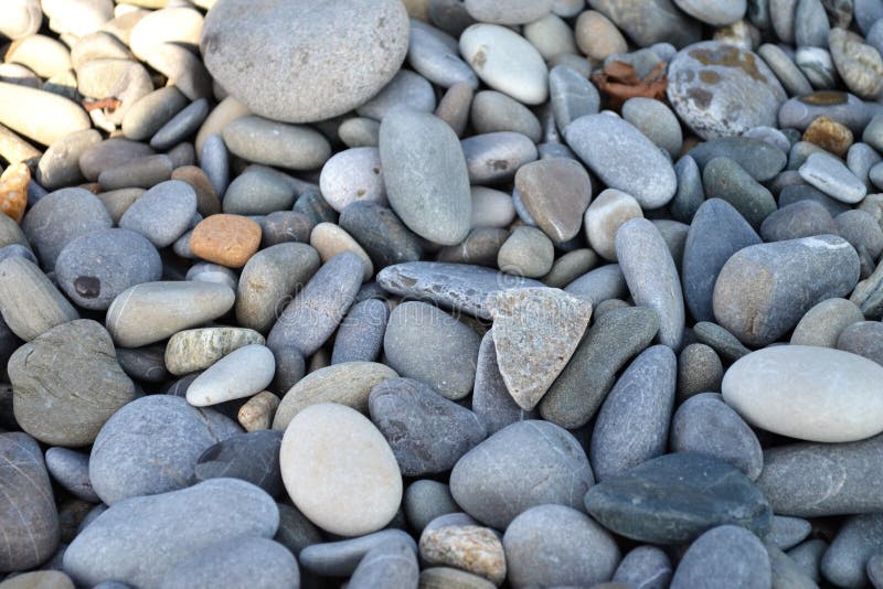 Beautiful Multi-colored Pebbles on the Beach Stock Image - Image of ...