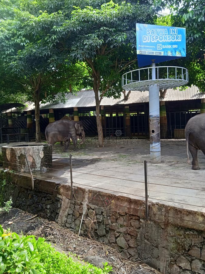 Beautiful Museum Malang City in Indonesia Editorial Photography - Image ...