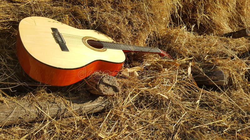 133 Guitar Leaning Tree Photos - Free & Royalty-Free Stock Photos from ...