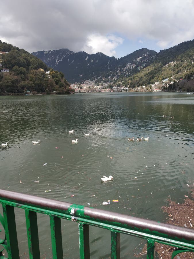 Beautiful Naini Lake In Nainital Stock Photo - Image of nainital ...