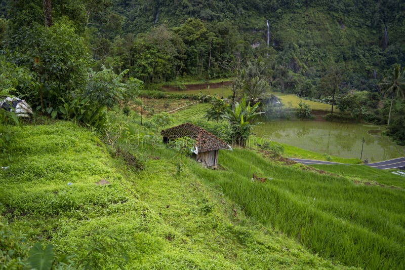 The Beautiful of Naringgul South Cianjur West Java Indonesian Stock ...