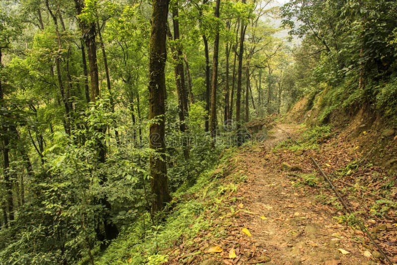 A Beautiful Narrow Village Path Just beside a Edge of a Cliff ...