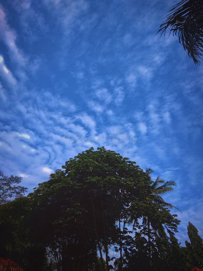 Beautiful Natural Atmosphere with Clear Sky Stock Image - Image of ...