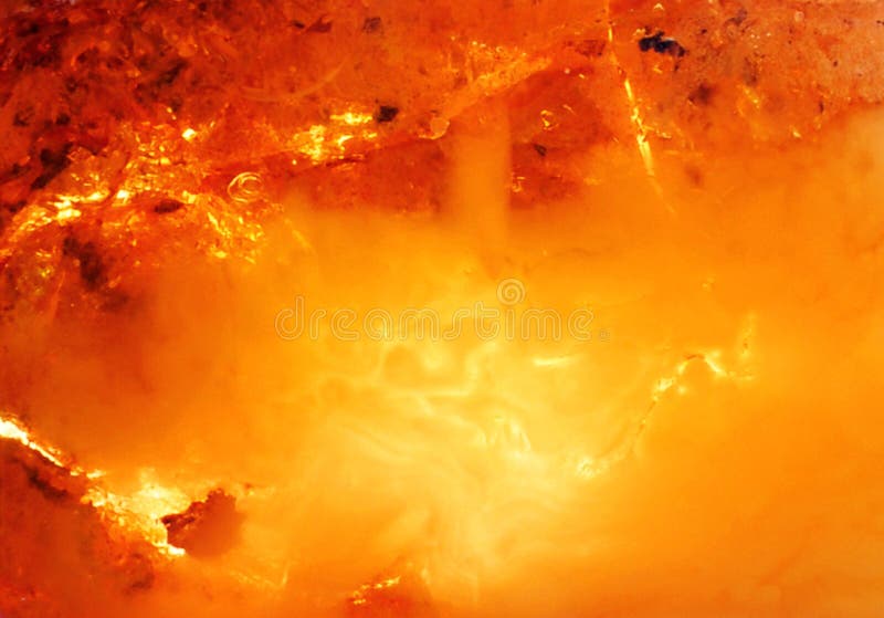 Beautiful Natural Baltic Amber Stock Image - Image of orange, included ...