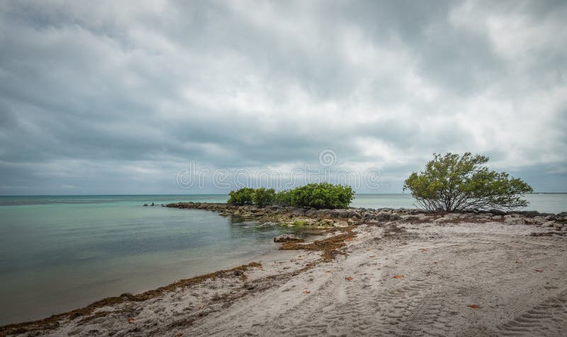 Beautiful and Natural Beach Stock Photo - Image of grass, area: 211990612
