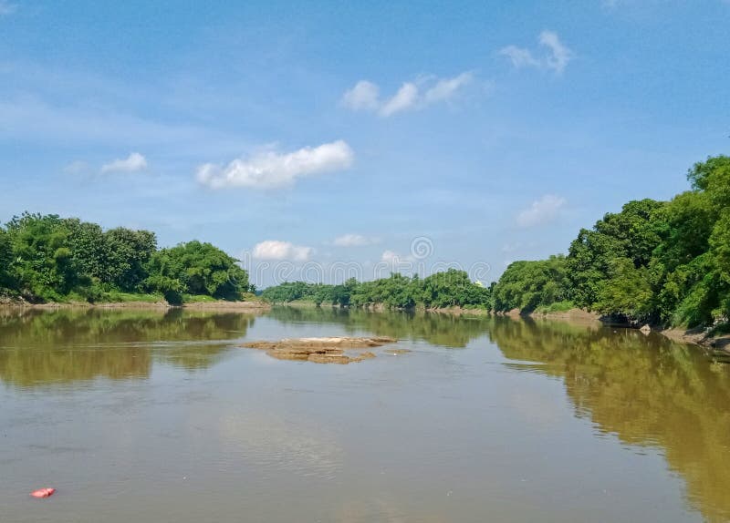 Beautiful and Natural Bengawan Solo River Stock Image - Image of solo ...