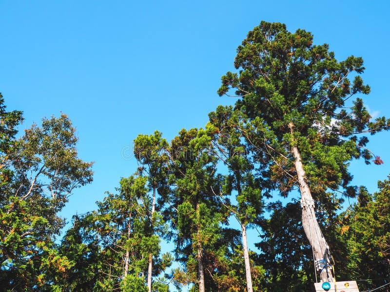 The Beautiful of Natural with Blue Sky in Japan Stock Image - Image of ...