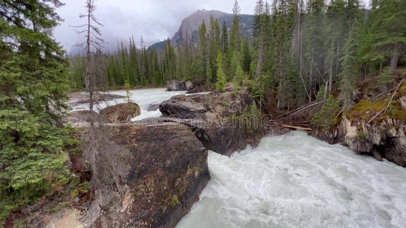 The Natural Bridge Falls in Yoho National Park Stock Video - Video of ... The Natural Bridge Falls in Yoho National Park Stock Video - Video of ...