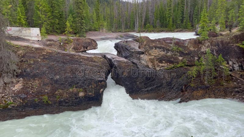 The Natural Bridge Falls in Yoho National Park Stock Video - Video of ... The Natural Bridge Falls in Yoho National Park Stock Video - Video of ...
