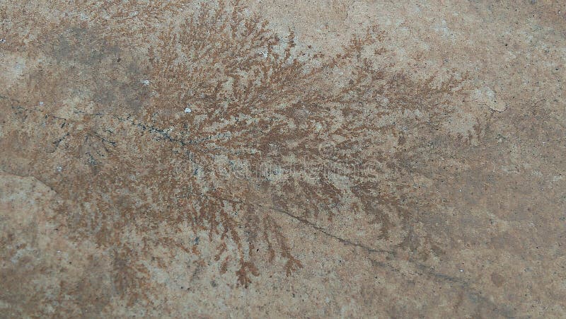 Stone design stock image. Image of design, beautiful - 123674719