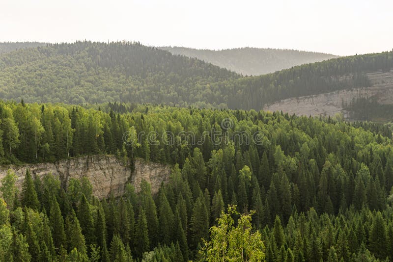 Beautiful Natural Forest Landscape with Rocks that Resemble Waves Stock ...