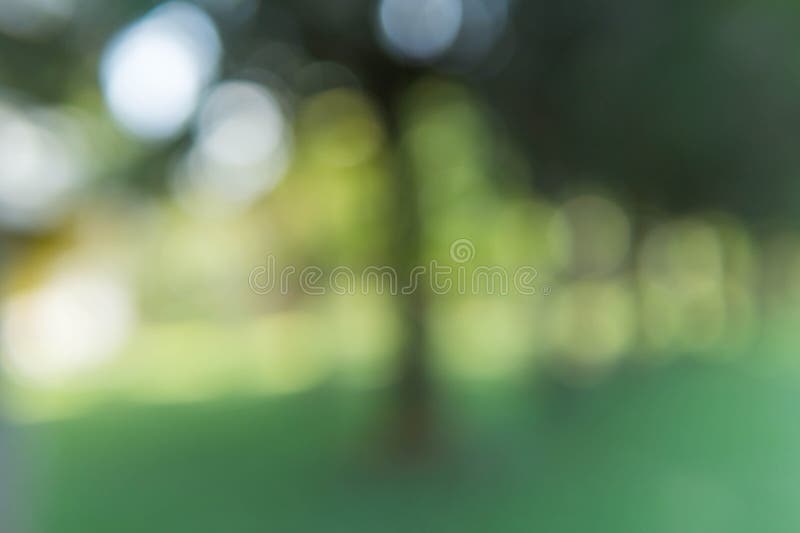Beautiful Natural Green Bokeh, Blurred Green Nature with Bokeh ...
