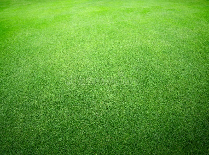 Beautiful Natural Green Grass Texture Stock Photo - Image of lawn ...