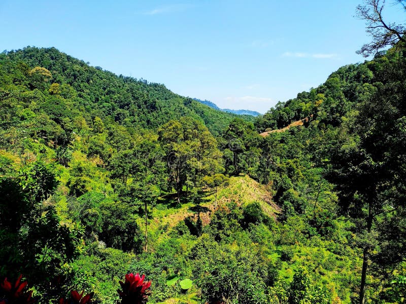 Beautiful Natural Hill Views with Green Leaves Stock Photo - Image of ...