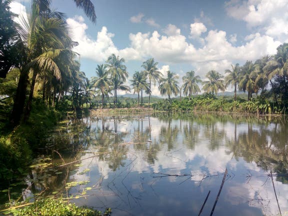 Beautiful Natural lack stock photo. Image of awesome - 161639034