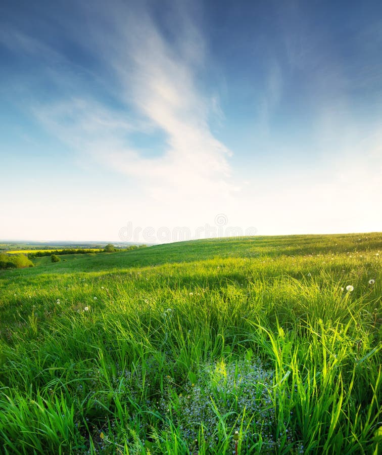 Beautiful Natural Landscape in the Summer Time Stock Image - Image of ...