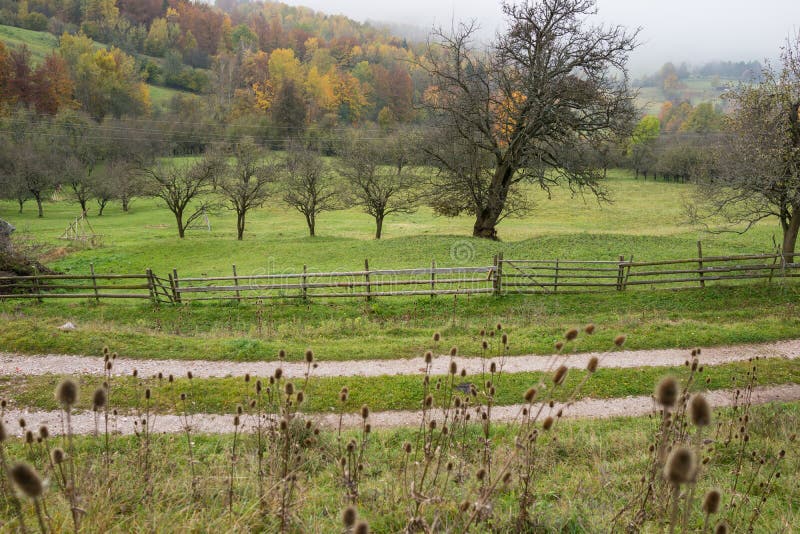 Beautiful Natural Landscape in the Summer Time Outdoor Stock Image ...