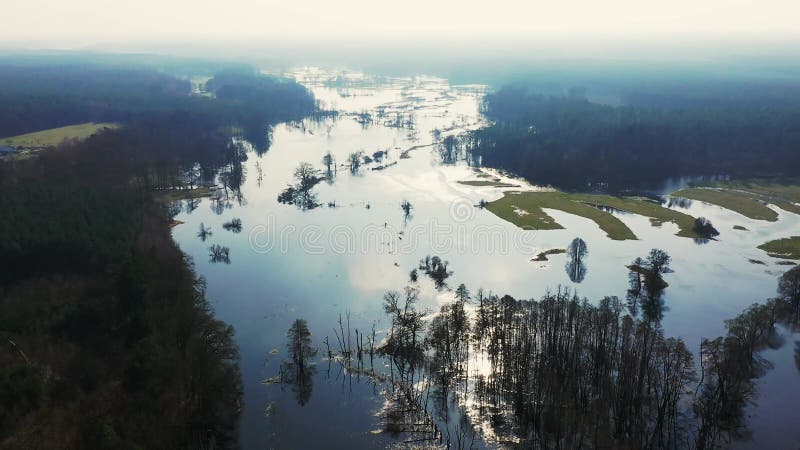 Beautiful Natural Landscape, View of Fields and Forests Flooded by the ...
