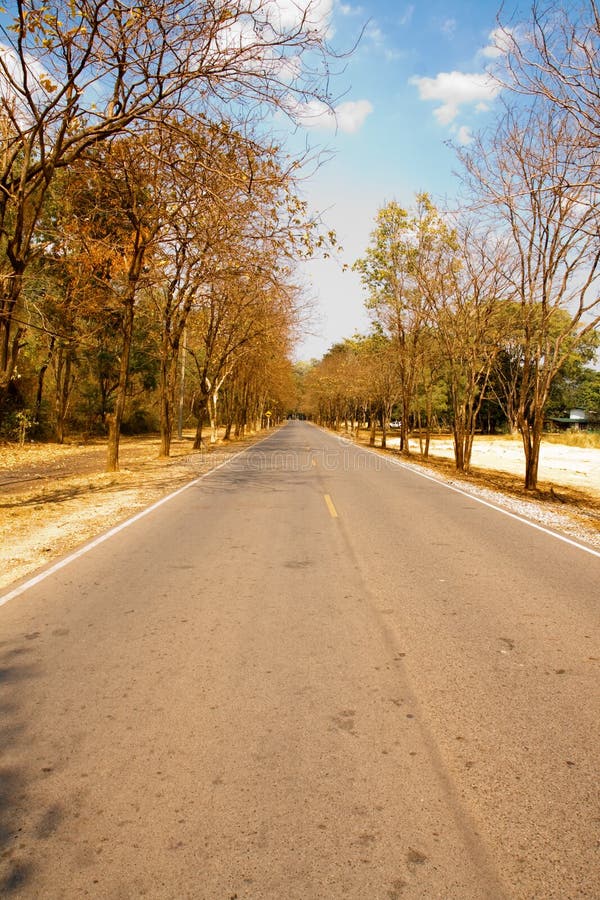 Beautiful Natural Local Road Stock Image - Image of empty, away: 50068959