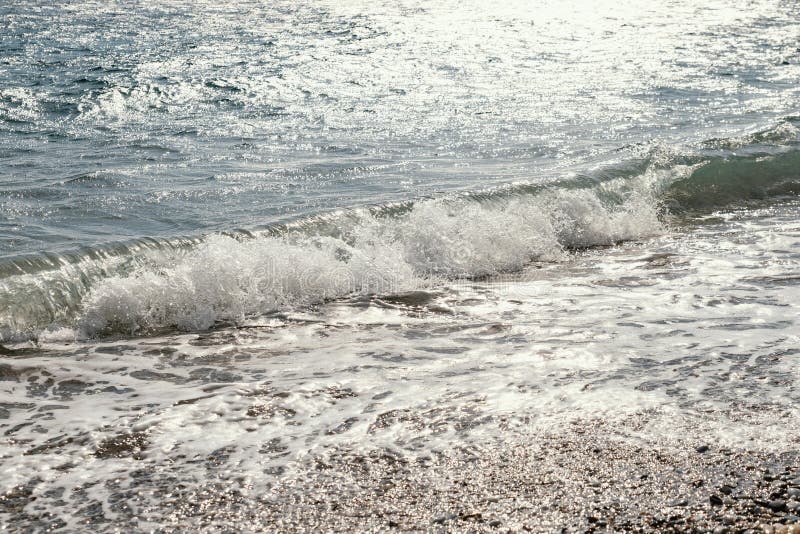 Beautiful Natural Marine Resources. High Quality Photo Stock Photo ...