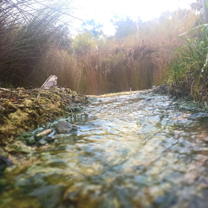Beautiful Natural Mini Running Stream Stock Image - Image of autumn ...