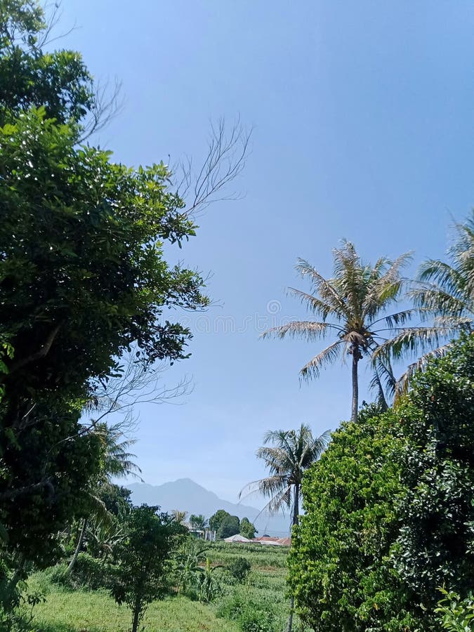 Beautiful Natural Mountain at Noon Stock Image - Image of vegetation ...