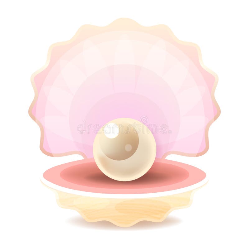 Beautiful Natural Open Pearl Shell Close Up Realistic Single Valuable ...