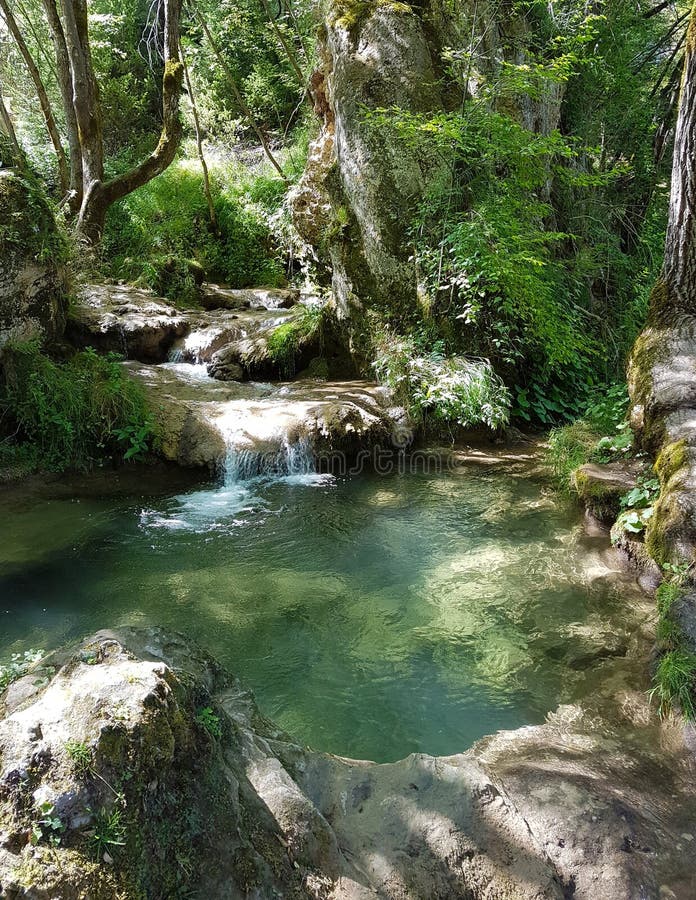 Small Natural Pool in the Forrest Stock Photo - Image of beautiful ...