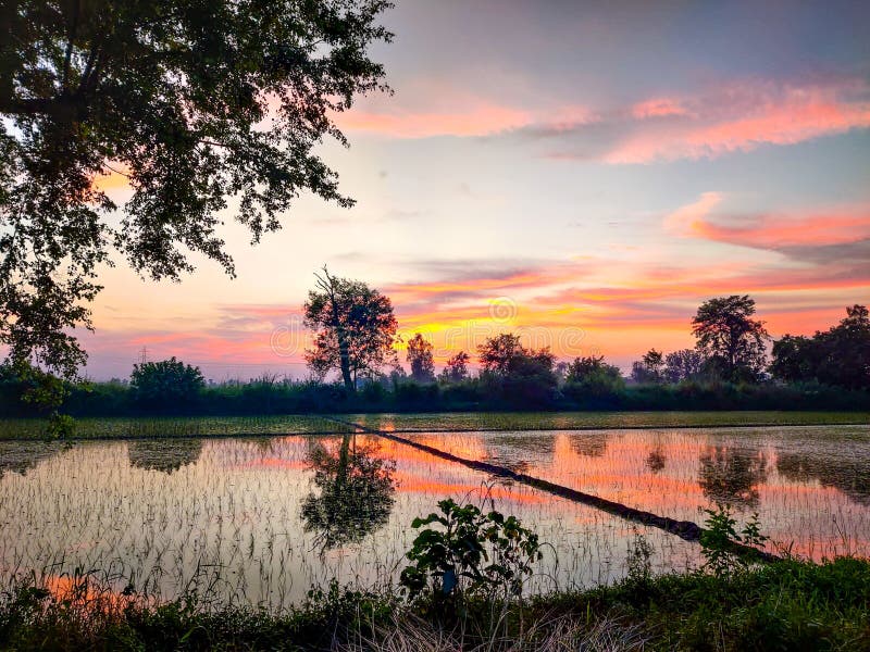 Beautiful Natural Portrait Reflection Photography Backdrop Stock Image ...