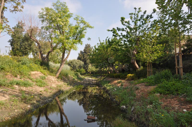 The Beautiful Natural River in Cyprus Stock Photo - Image of dusk ...