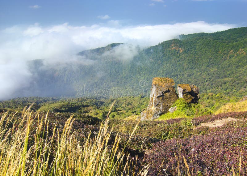 Beautiful Natural Rock on the Mountain Stock Image - Image of fresh ...