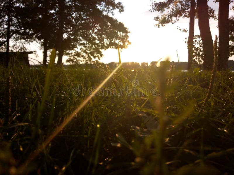 Sun rays during sun set stock photo. Image of desktop - 123962352