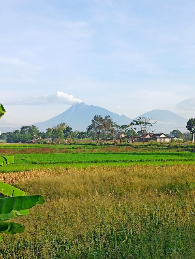 Beautiful natural scenery stock photo. Image of natural - 377259592