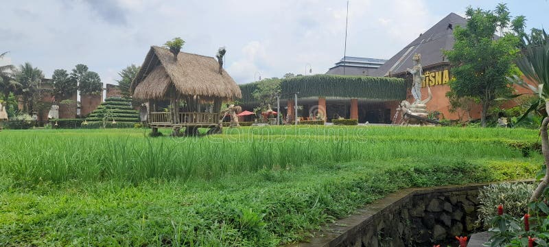 Beautiful Natural Scenery Decorated with Rice Fields with Modern and ...