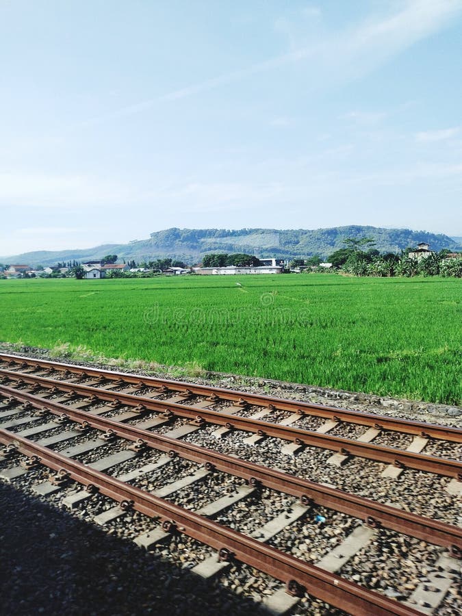 Beautiful Natural Scenery. What Train Road in the Middle of a Green ...