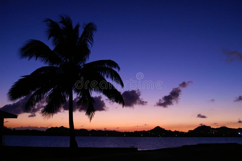 Beautiful Natural Sunset Landscape Stock Image - Image of plant, pelew ...