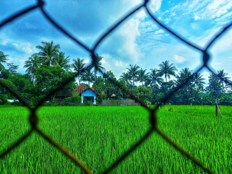 Beautiful Natural View Behind the Window Stock Photo - Image of natural ...