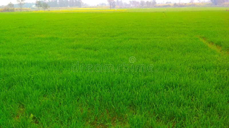 Beautiful Natural View India Stock Image - Image of beautiful, natural ...