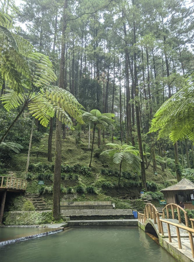 A Beautiful and Natural View in West Java Stock Image - Image of west ...