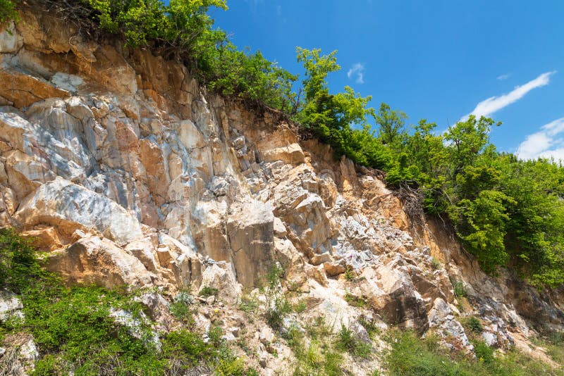 Beautiful Natural Wall of Rock and Trees Background Stock Image - Image ...