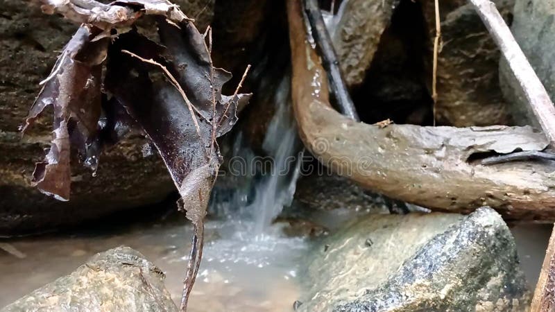 Beautiful Natural Water Flow between Rocks. Natural River Water Flow ...
