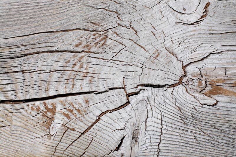 Beautiful Natural Weathered Wood Grain Stock Photo - Image of knot ...