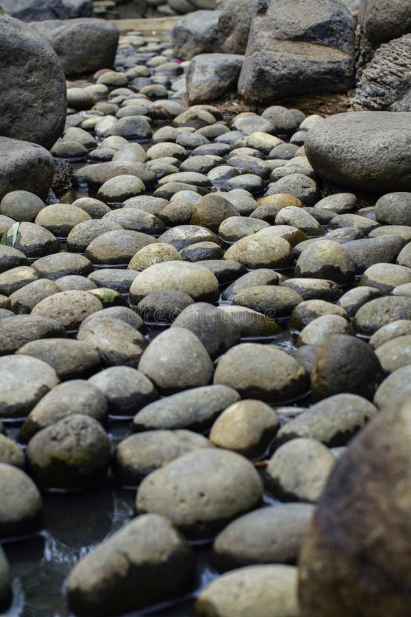 Beautiful Naturally Rounded Stones in the Dry Pond Stock Image - Image ...