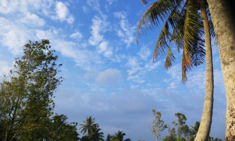 Beautiful Nature with Amazing Views Stock Photo - Image of coconut ...