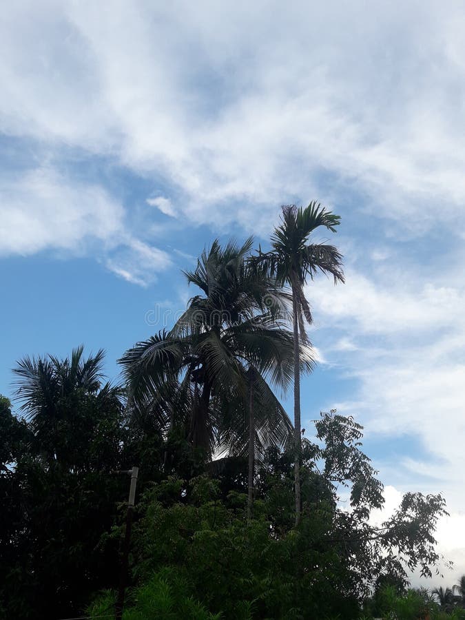 A Beautiful Nature in Autaum Stock Photo - Image of beautiful, autaum ...