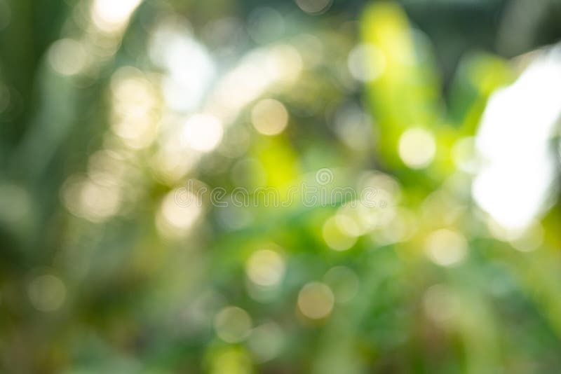 Beautiful Nature Blurry Green Image for Background Stock Image - Image ...
